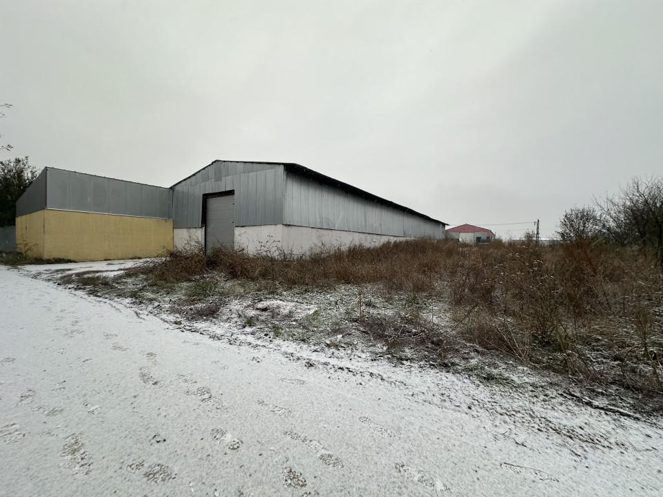 Hala cu teren de vanzare, zona Industriala Vest, Oradea, Bihor