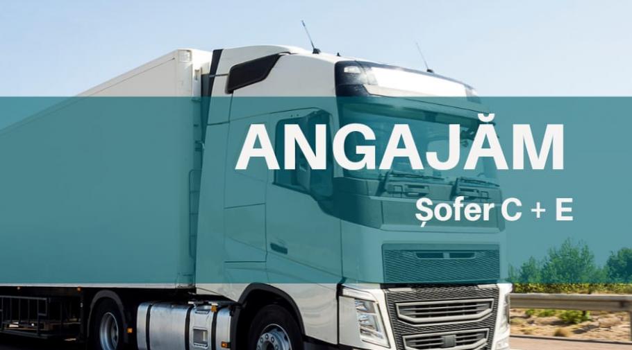 Sofer C+E container in Tortona