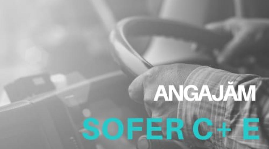 Sofer C+E in Livorno